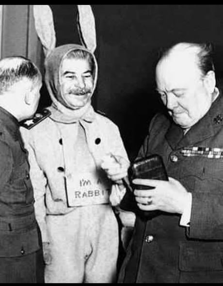 Best Funny stalin Memes - 9GAG