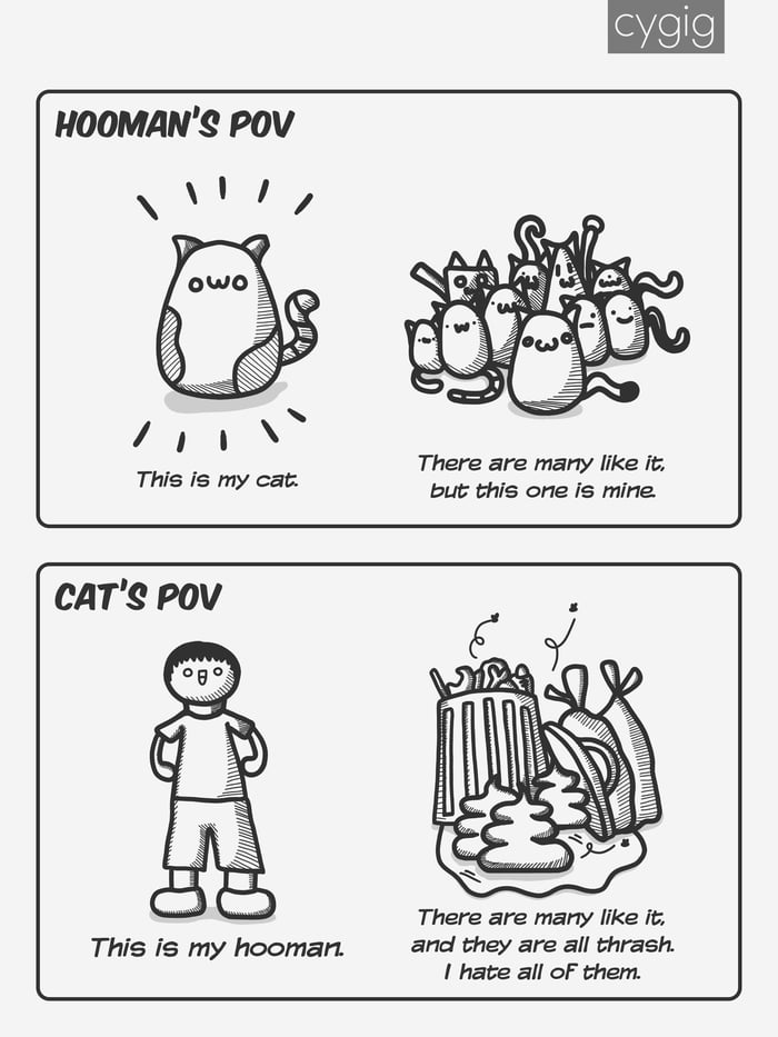 There are many like my cat, but this one is mine - 9GAG