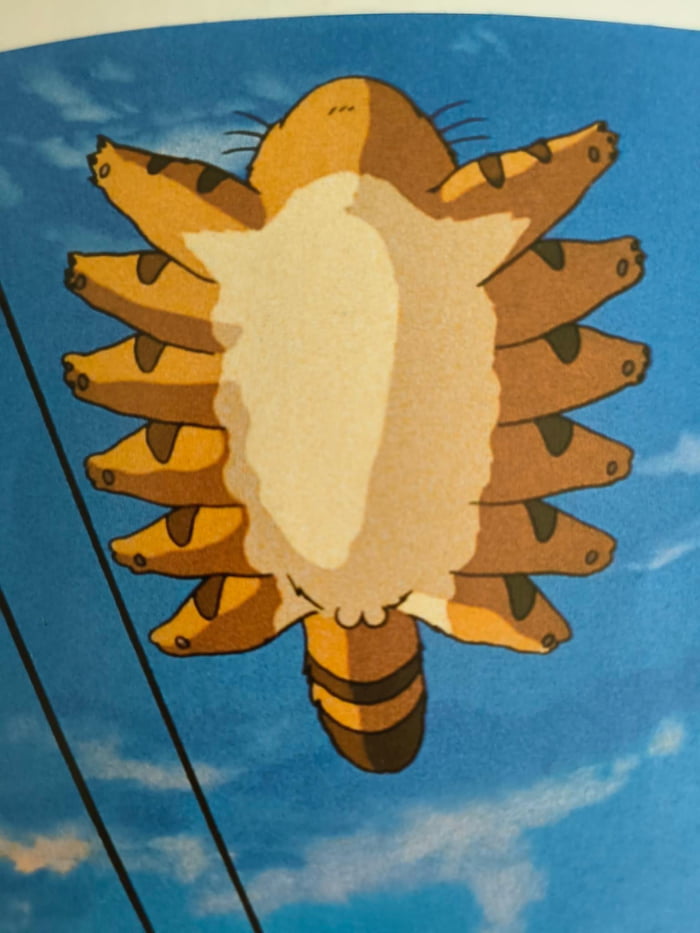 I just realized that the Cat Bus from My Neighbor Totoro is a male cat ...