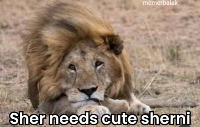 Sher needs cute sherni - 9GAG
