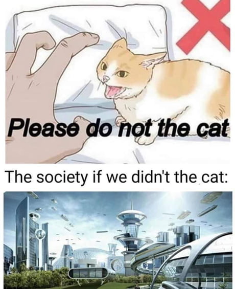 Hahaha No Cat Meme