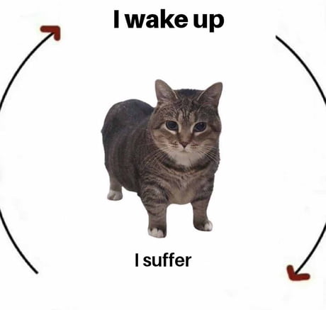 Best Funny suffering Memes - 9GAG