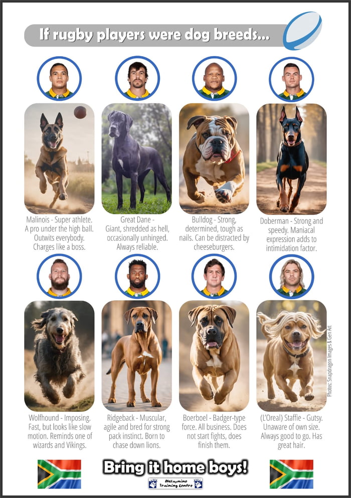 If South African rugby players were cast as dogs… - 9GAG