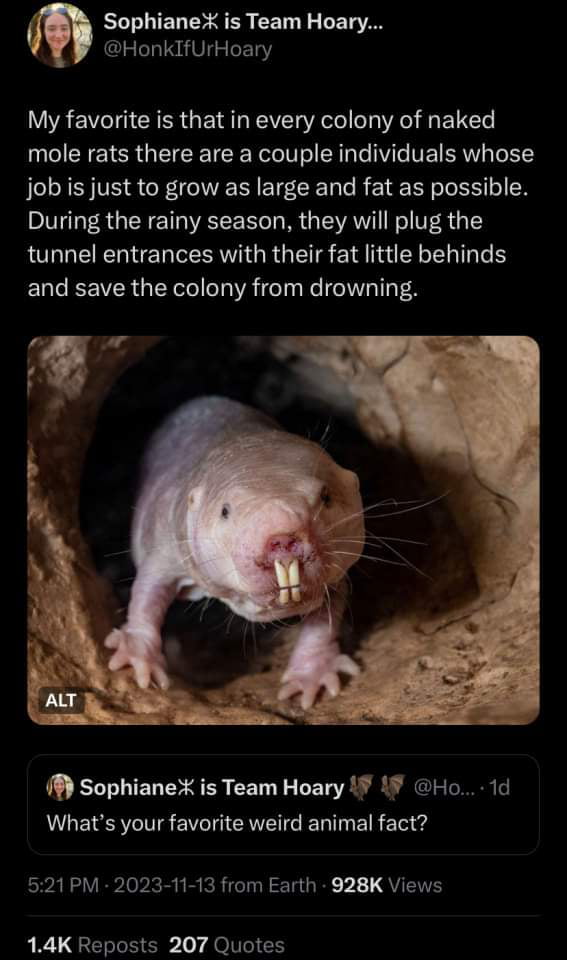 I volunteer as tribute! - 9GAG