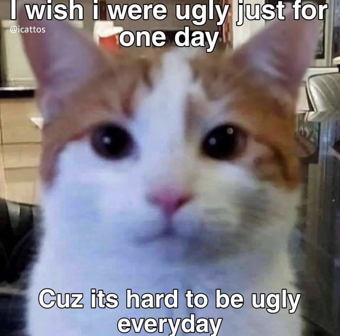 Image not related - 9GAG