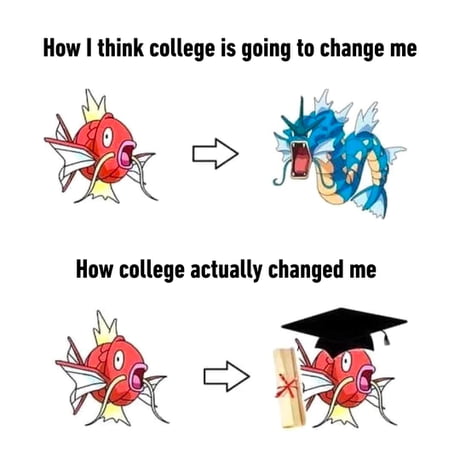 Funny Magikarp Memes