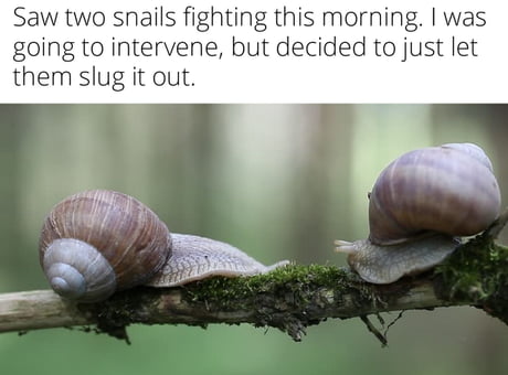 Shooting Slugs Memes