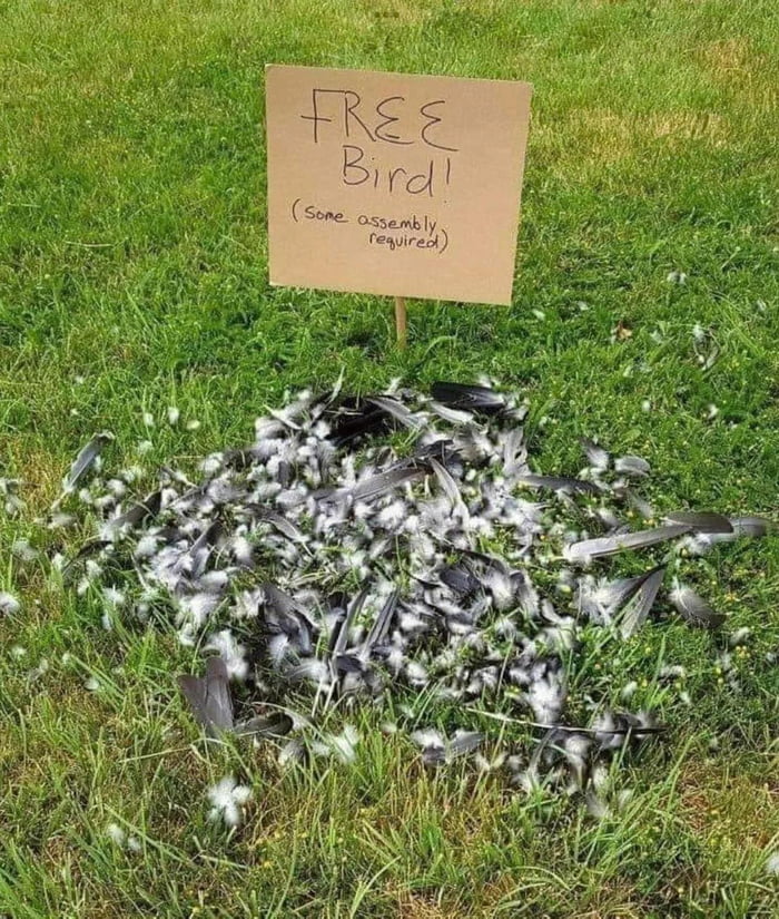 Free bird! some assembly required. - 9GAG