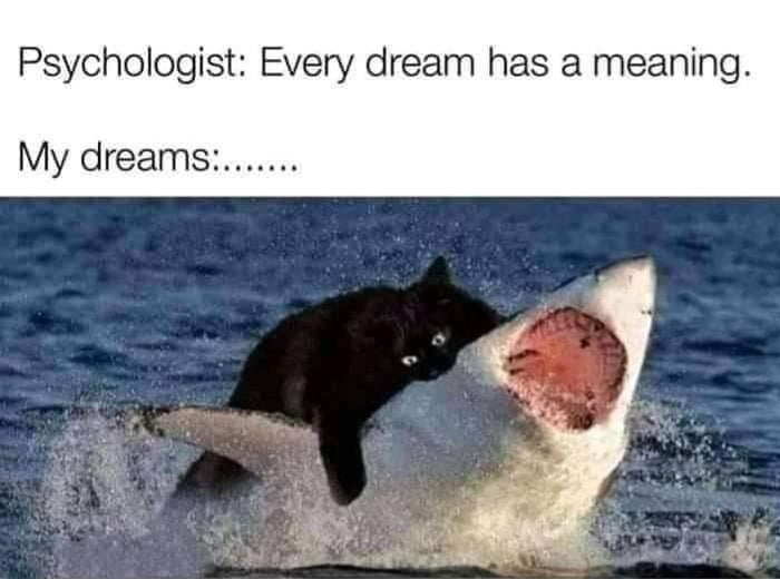 Every single time - 9GAG