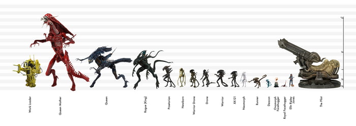 A better xenomorph size chart - 9GAG