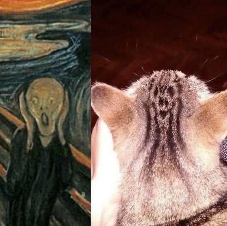 Scream Aghaidh Meme