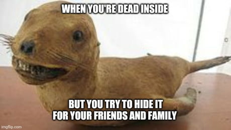 Best Funny stuffed animals Memes - 9GAG