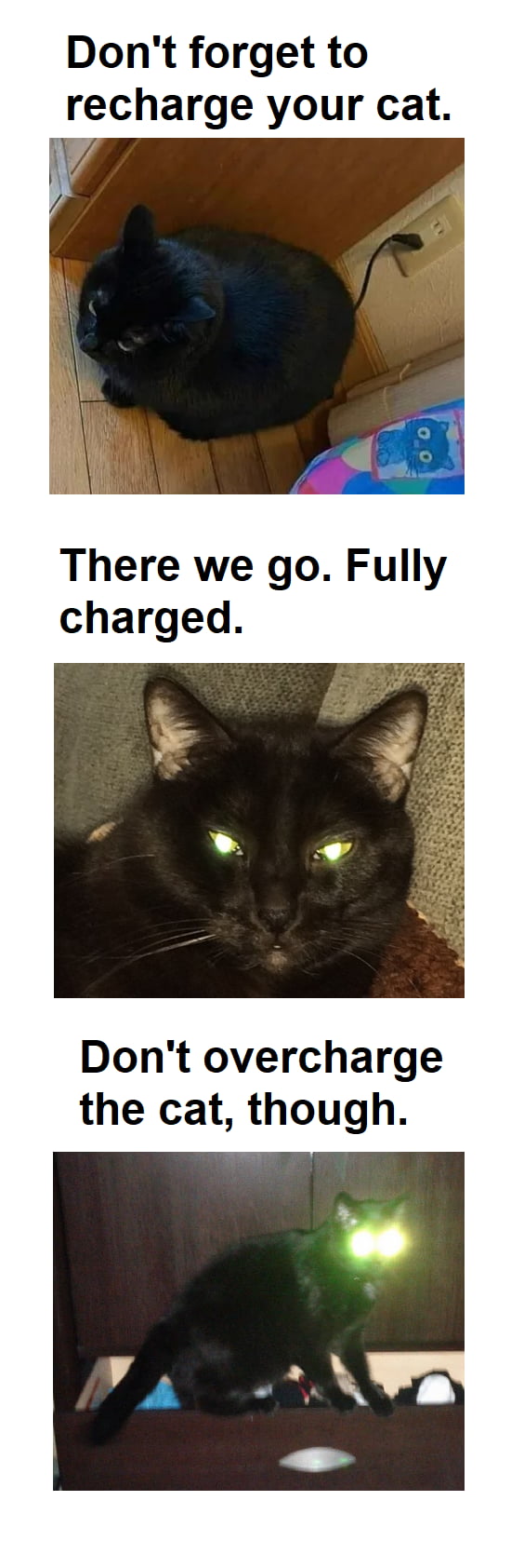 Fully charged cat - 9GAG