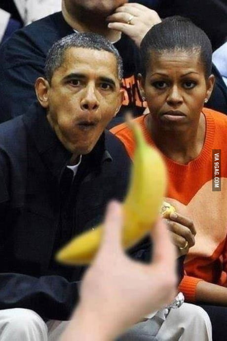 Michelle Obama As A Monkey