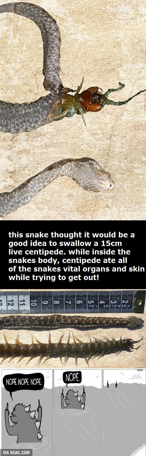 A whole lot of nope! - 9GAG