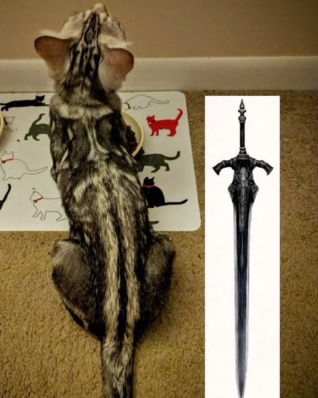 Best Funny sword Memes - 9GAG