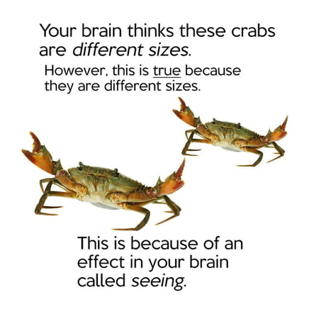 Best Funny crab Memes - 9GAG