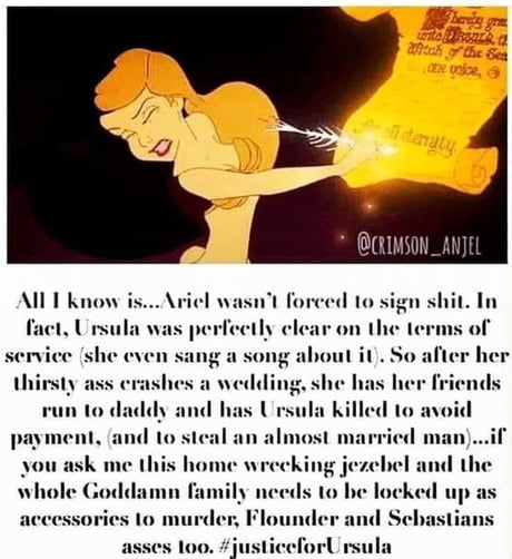 Best Funny ariel Memes - 9GAG