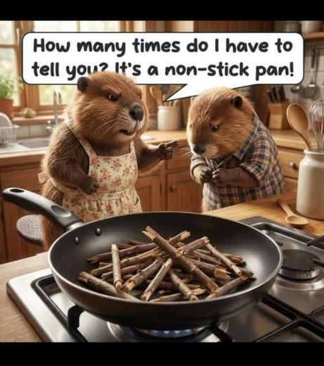 Best Funny pan Memes - 9GAG