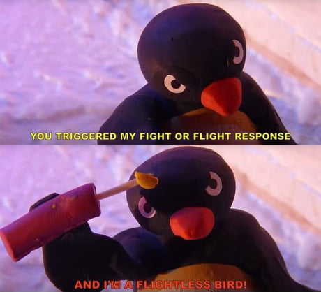 Best Funny fight Memes - 9GAG