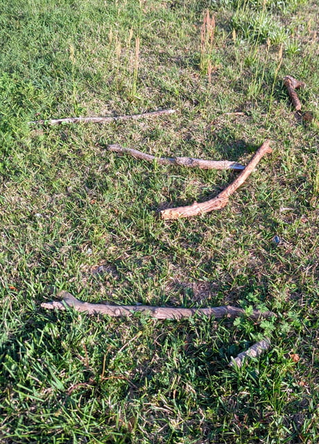 Best Funny sticks Memes - 9GAG