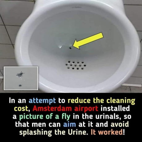 Best Funny urinal Memes - 9GAG