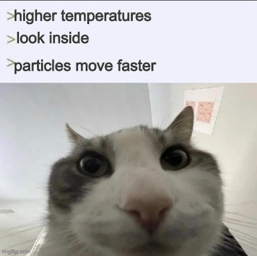 Cat looks inside Meme - 9GAG