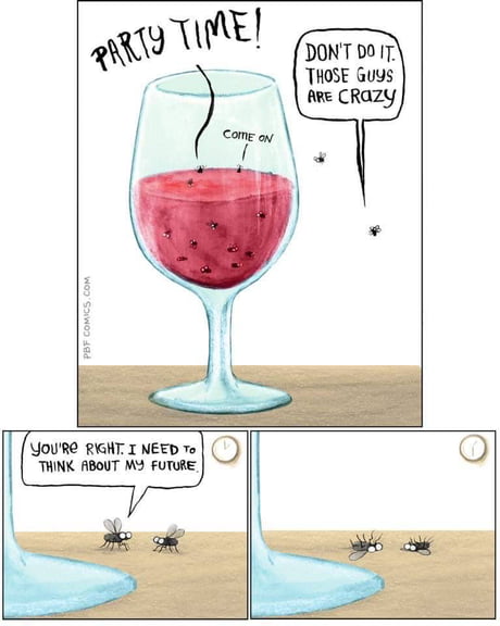 Best Funny fly Memes - 9GAG