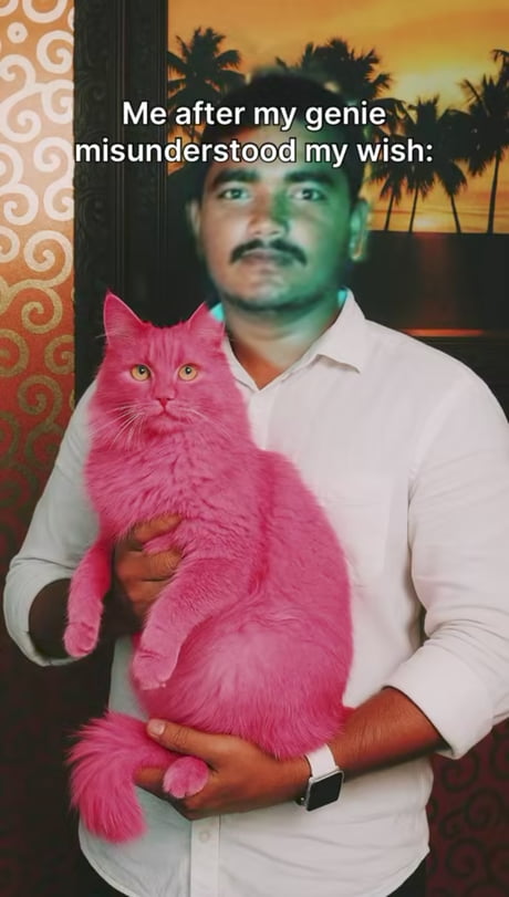 Best Funny genie Memes - 9GAG