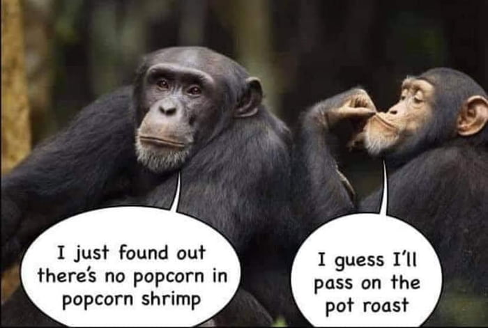 Simian title - 9GAG