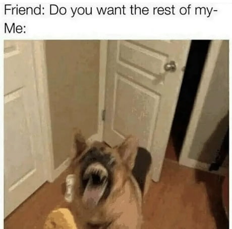 Best Funny greedy Memes - 9GAG