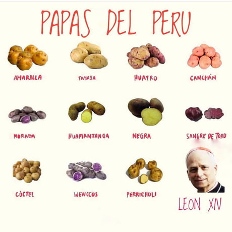 Funny Peru Memes