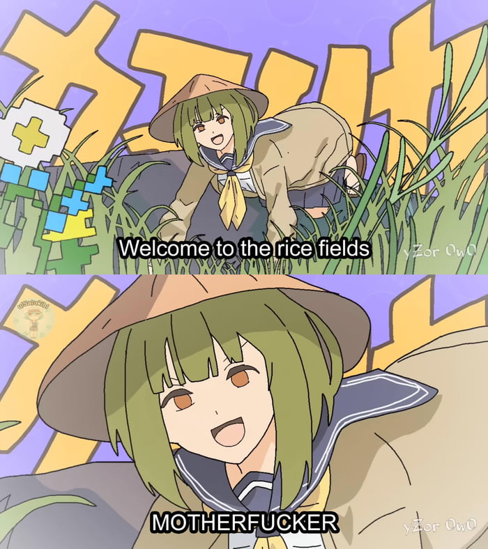 Bashame the entire anime be like - 9GAG