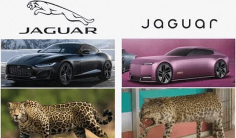 Best Funny jaguar Memes - 9GAG