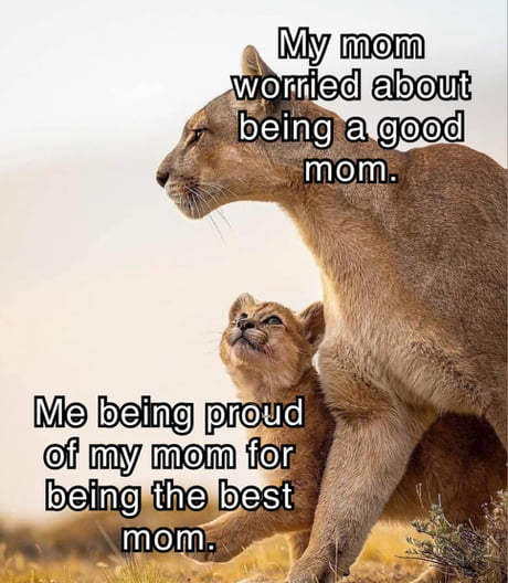 Funny Grateful Memes Grateful Memes & GIFs Imgflip