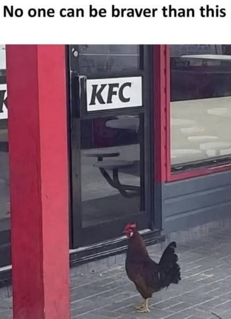 Best Funny kfc Memes - 9GAG