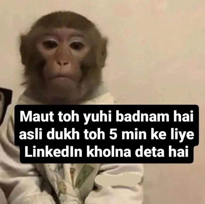 Sab k sab successful hai saale - 9GAG
