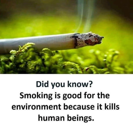 Smoking Is Good For You