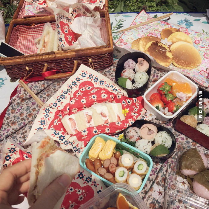 The Proper Way To Do Japanese Sunday Picnic 9GAG The Proper Way To Do Japanese Sunday Picnic 9GAG