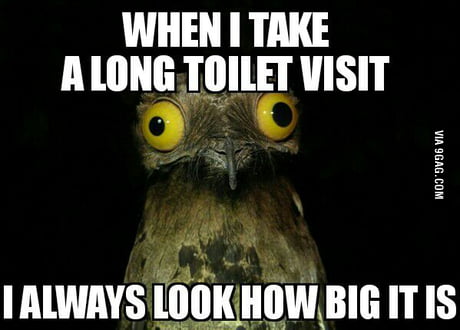 Tirol Memes
