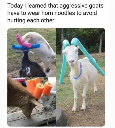 Best Funny safety first Memes - 9GAG