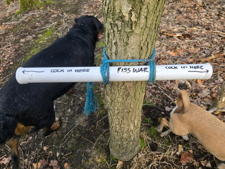 Best Funny competition Memes - 9GAG