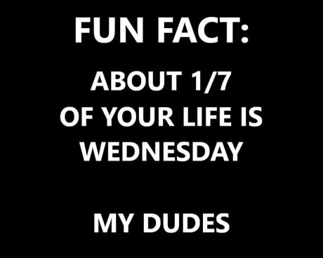 Best Funny fun fact Memes - 9GAG