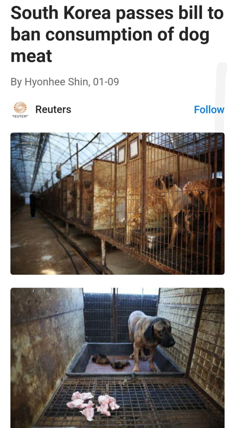 Best Funny korea Memes - 9GAG