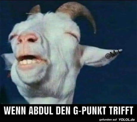 Ziegen Memes Ziegenbock, Reit Und Zugtier Für Kinder In Miniatur 1:12