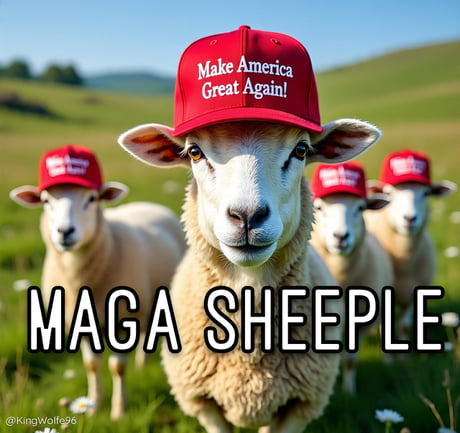 Best Funny sheeple Memes - 9GAG