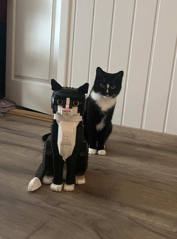 Built a Lego model of my cat - 9GAG