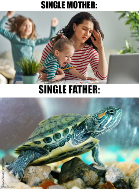 Best Funny turtle Memes - 9GAG