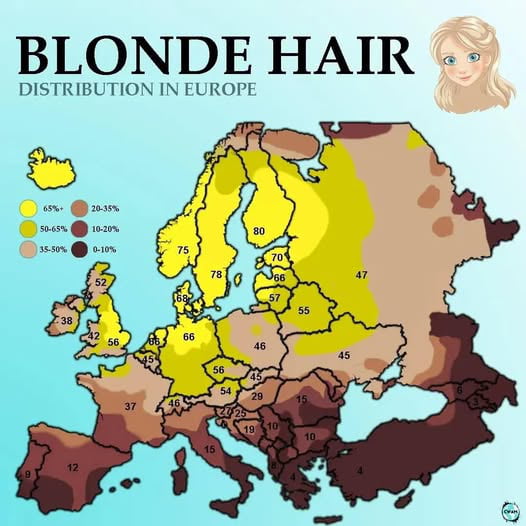 Blonde Hair Distribution - 9GAG