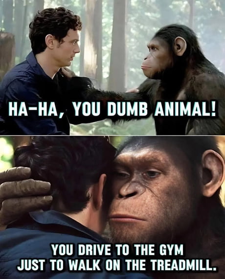 Best Funny planet of the apes Memes - 9GAG